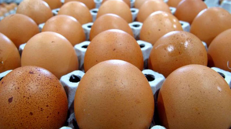 Telur Rebus