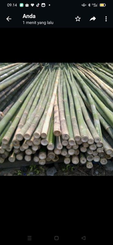 TIANG BAMBU UMBUL UMBUL