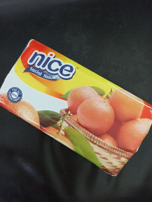 Facial Tissue Nice Besar