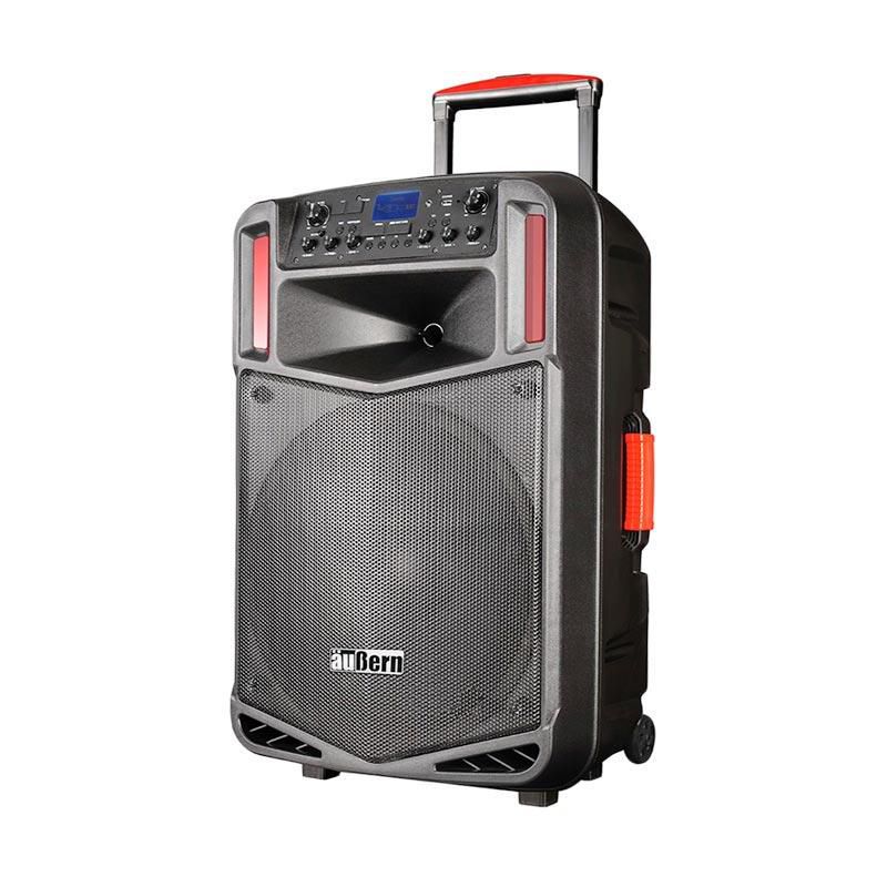 Aubern Professional Portable Speaker System BE-12CX