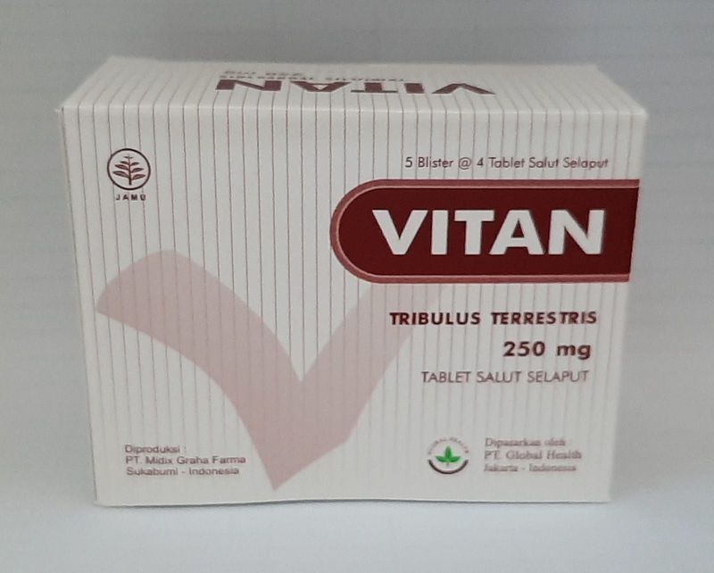 Vitan (20 Tablet/Box)