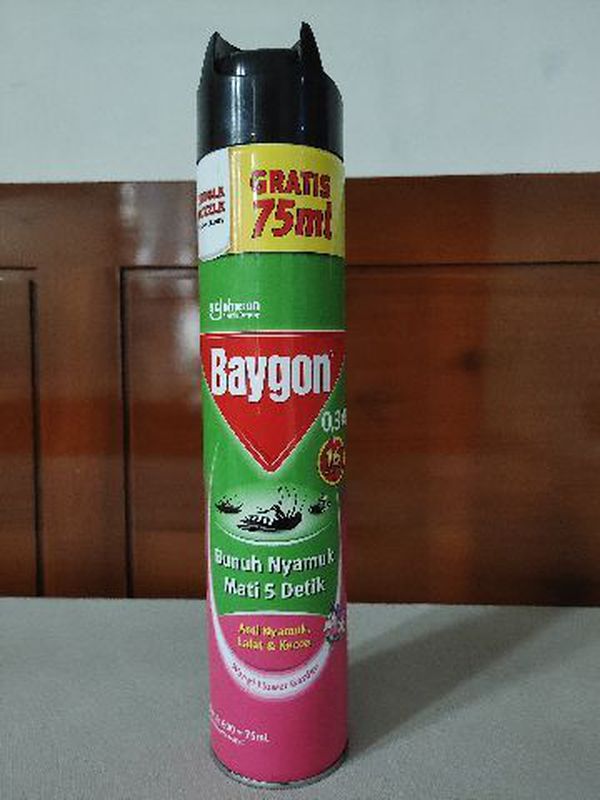 baygon spray besar