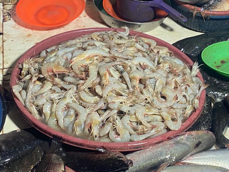 udang tenggek