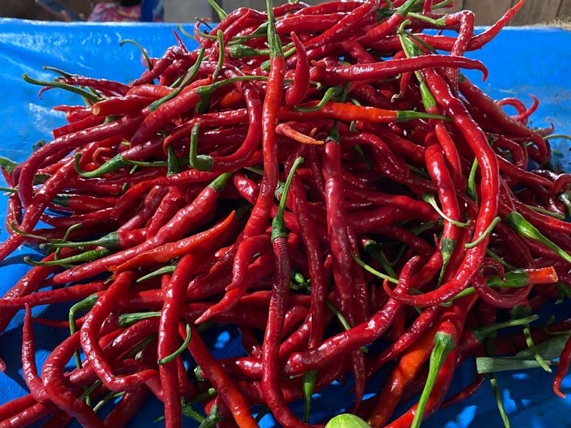 CABE MERAH