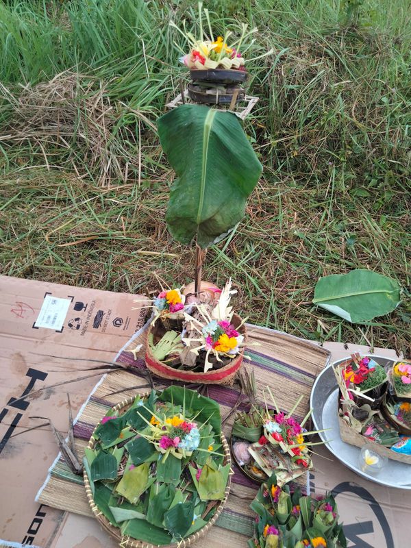 Caru Siap Brumbun Jangkep