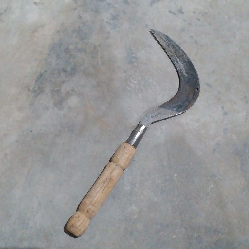 sabit biasa