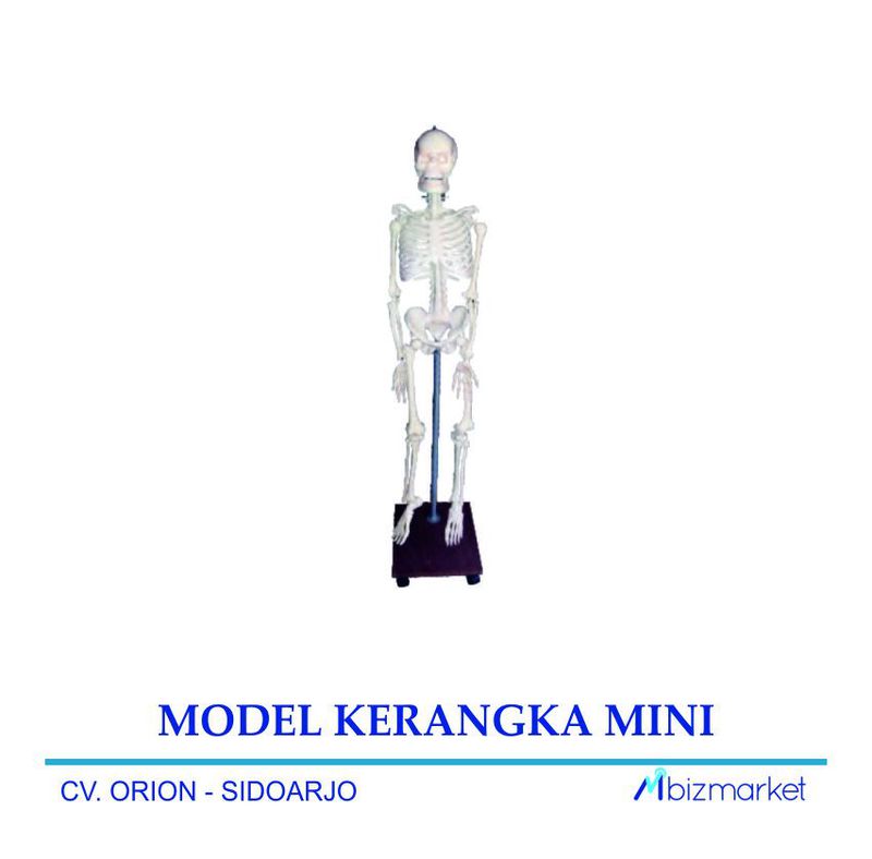 MODEL KERANGKA MINI