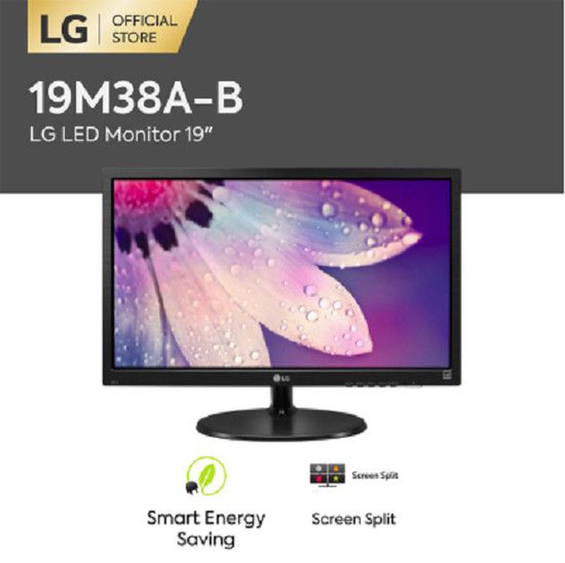 MONITOR LG 19"