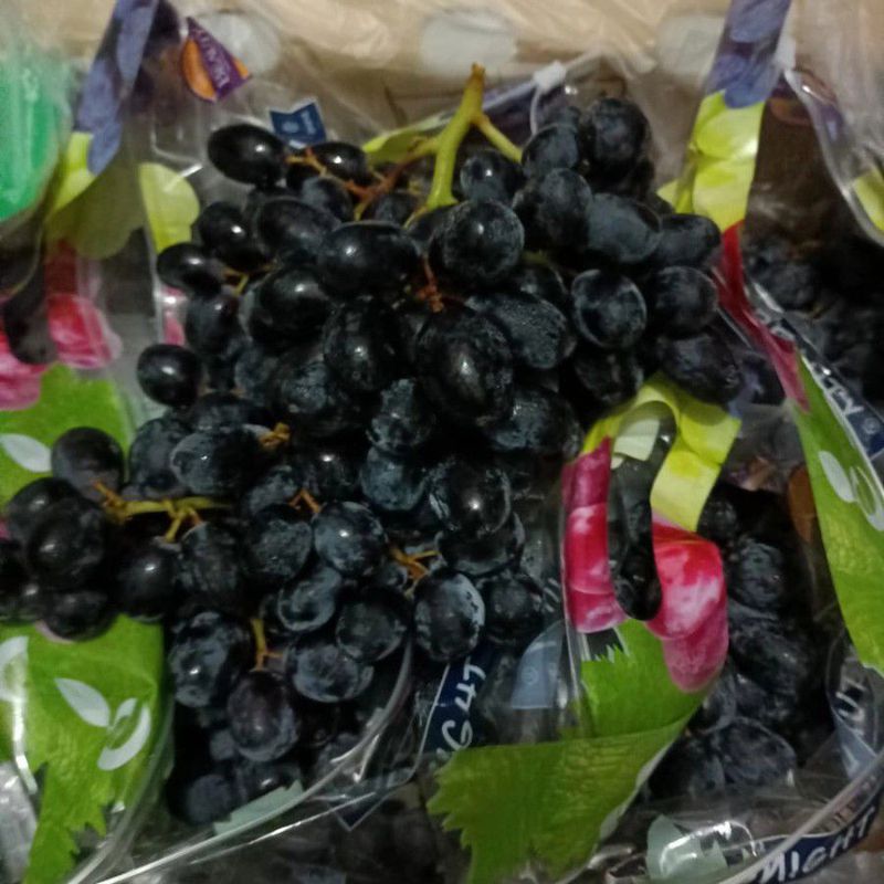 Anggur Hitam Tanpa Biji