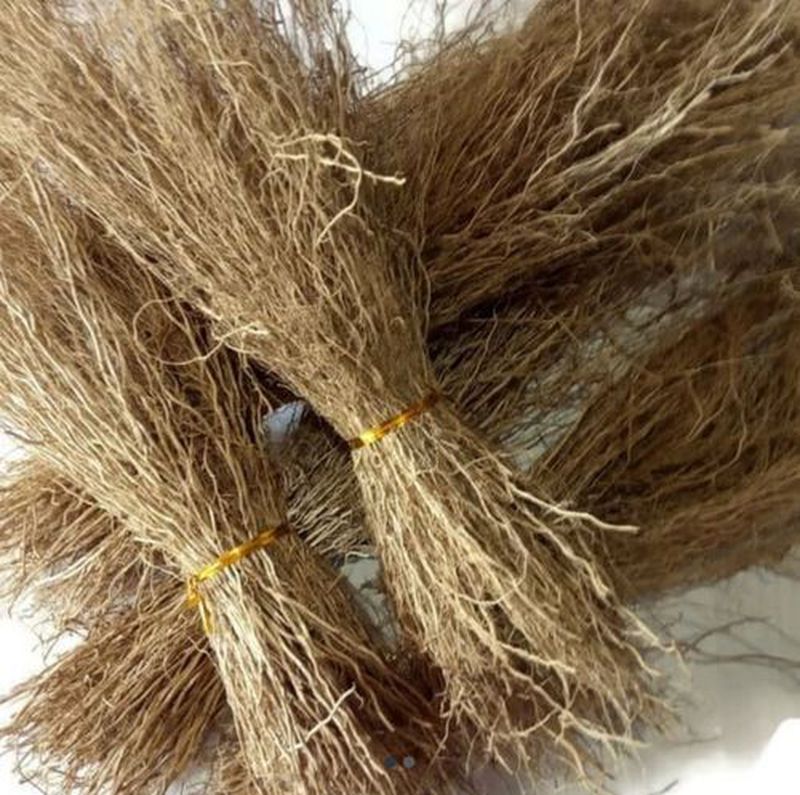 Akar Wangi