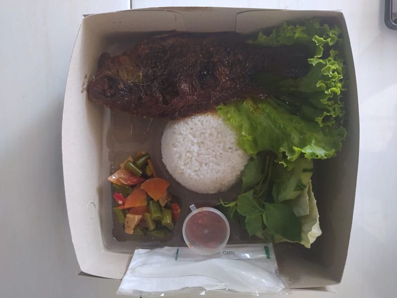 PAKET NASI BOX DAN SNACK BOX II