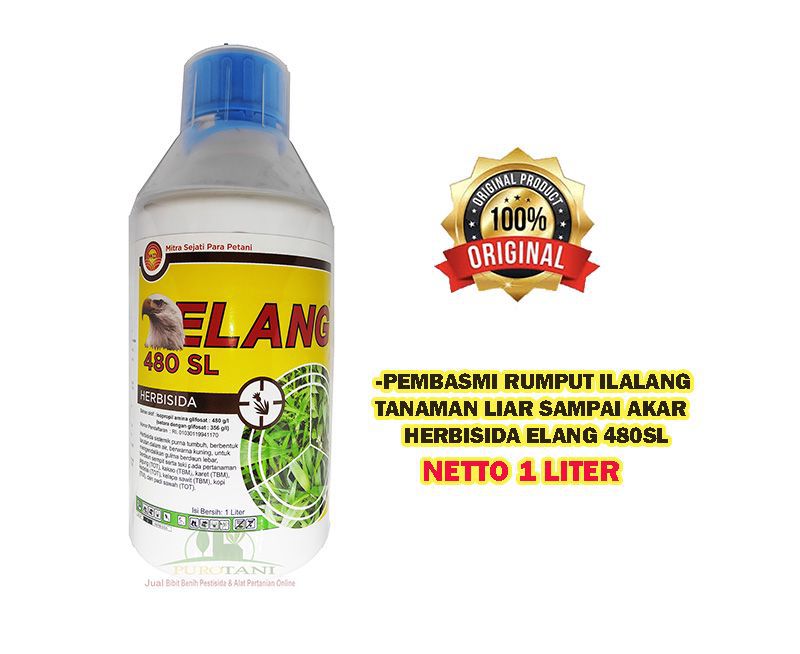 Herbisida Pembasmi Rumput