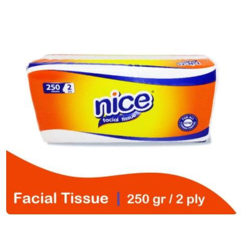 Tissue Nice 2 ply - 250gr