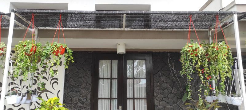 SEWA TANAMAN BUNGA HIDUP / BUNGA ACAK - GANTUNG ANJANG2 by KOKO GROUP