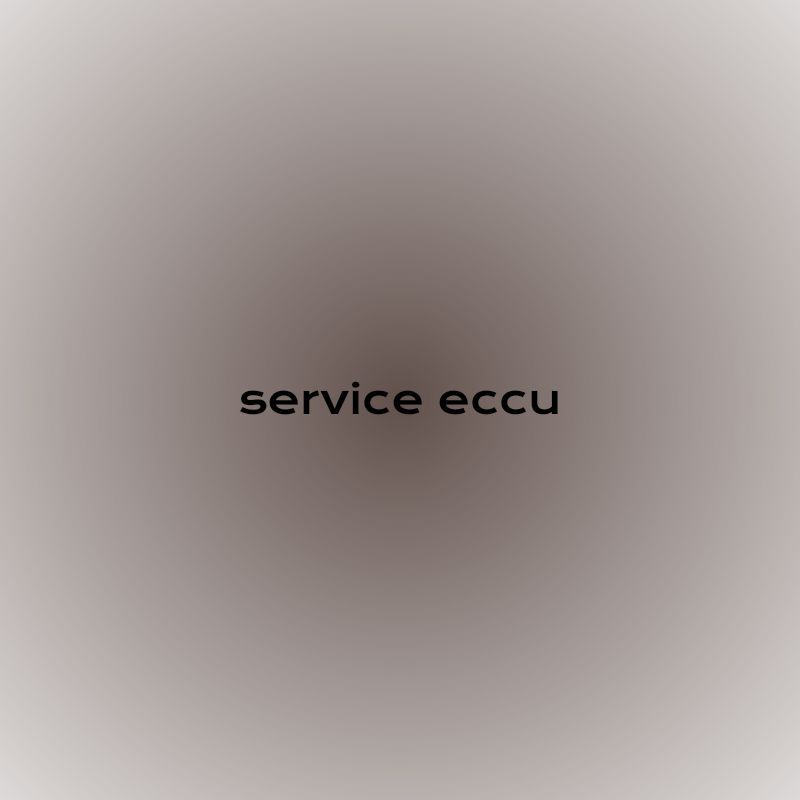 jasa service eccu