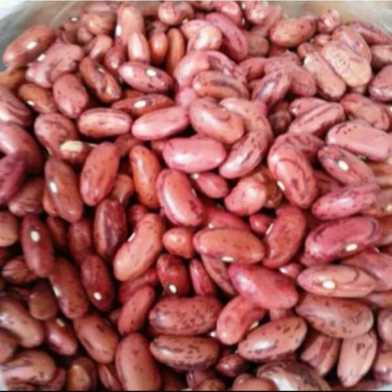 Kacang Merah
