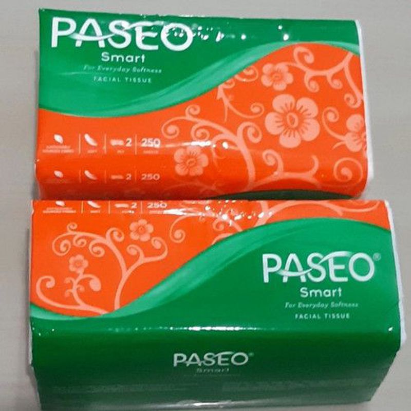 Tissue Paseo 2 ply - 250gr