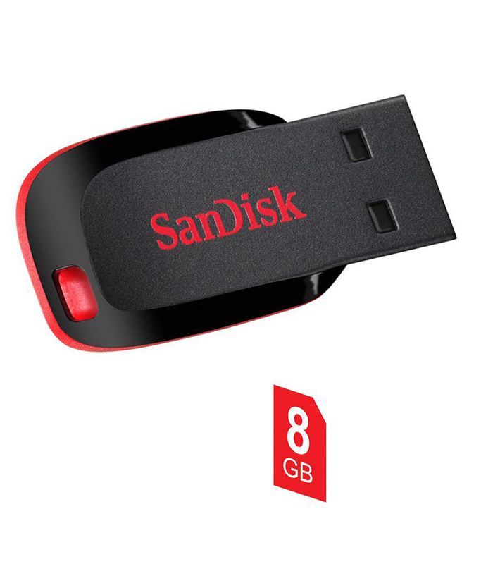 USB/FLASH DISK 8 GB