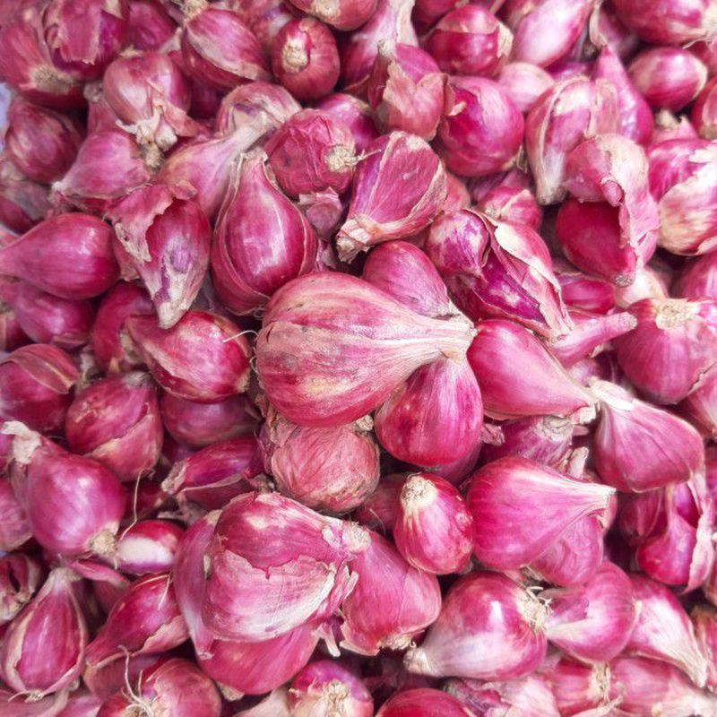 Bawang Merah