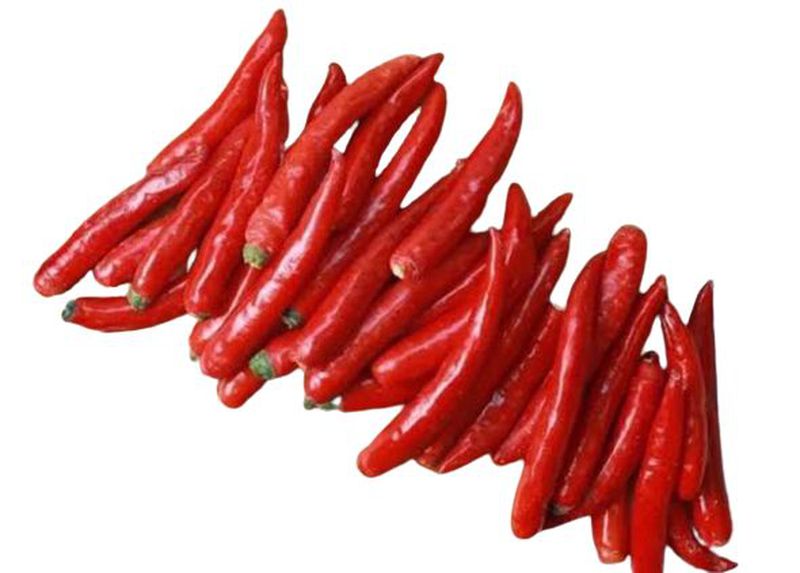 Lombok Merah Tanggung