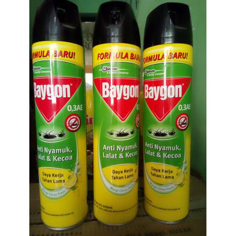 Baygon Aerosol Spray 600 ML