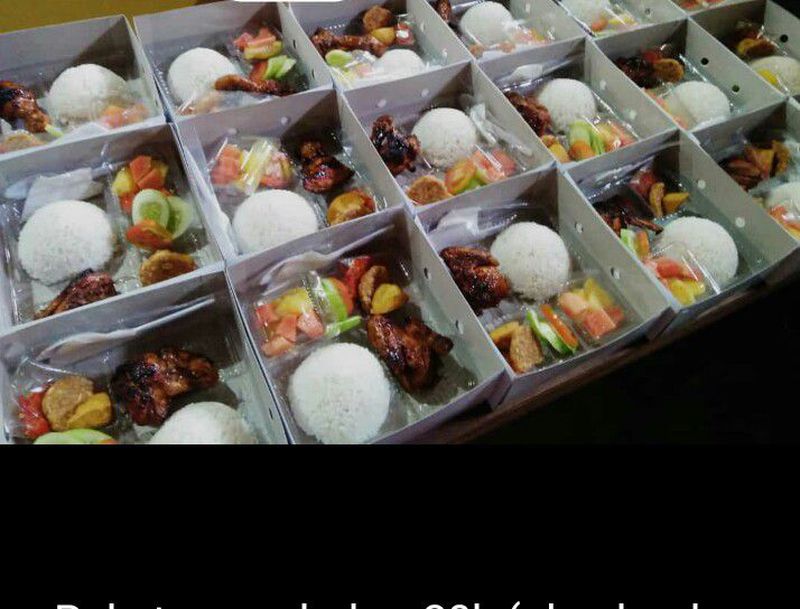 NASI BOX BEBEK goreng/bakar