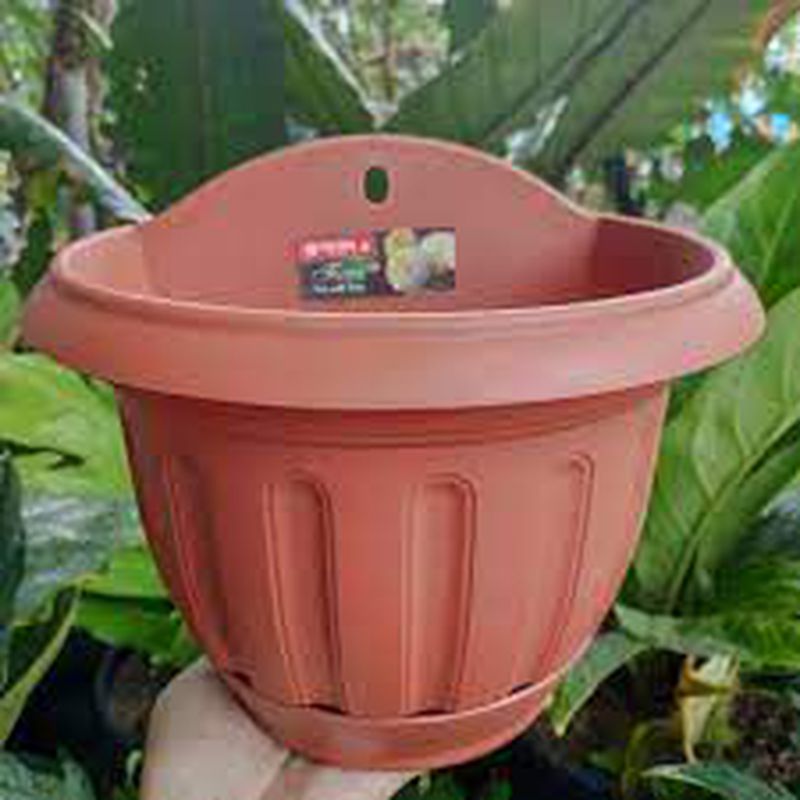 Lion Star Pot Tempel /Pot dinding Lotus Wall Pot