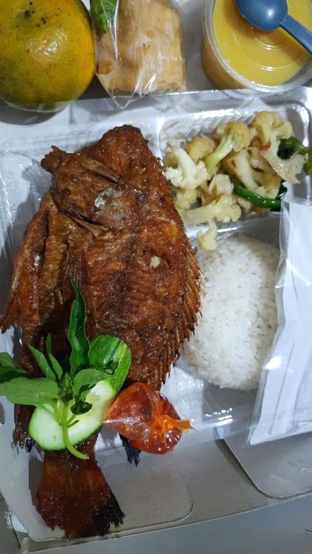 Paket B - Nasi Dus Nila Komplit