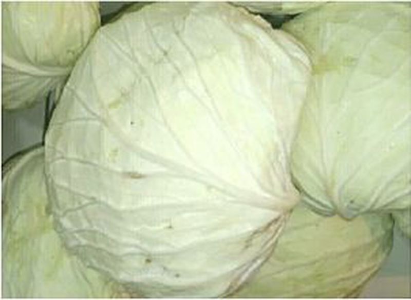 Kol/white cabbage 500 gram