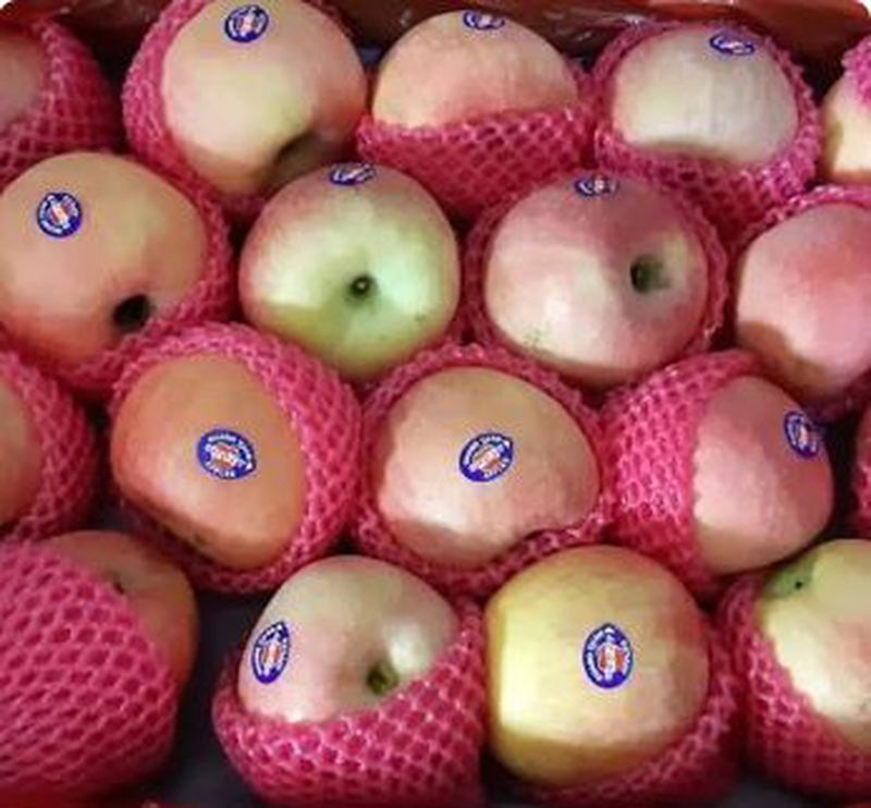 Apel Fuji Premium Fresh 500 gram