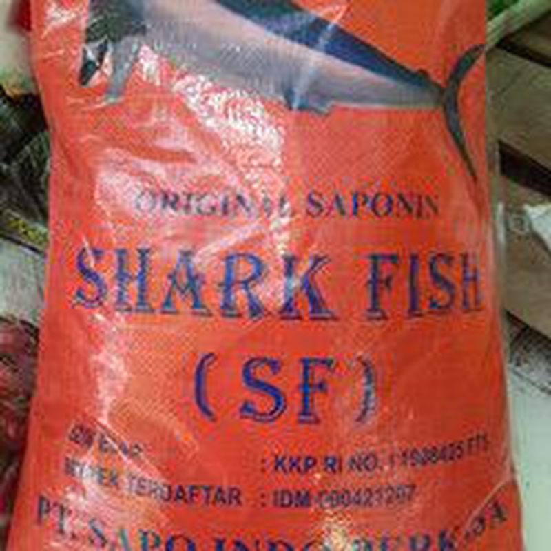 saponen shark fish