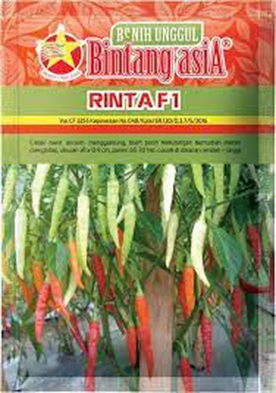 BENIH CABE RAWIT RINTA F1 - 10 Gram