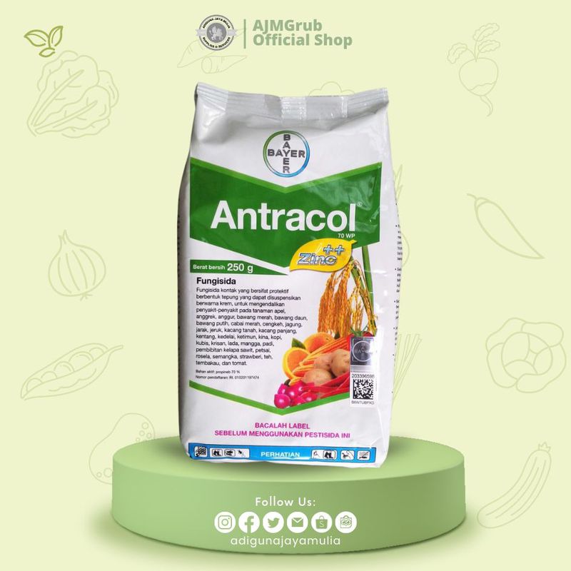Antracol - 1 Kg