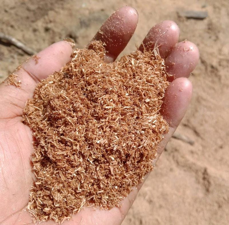 SERBUK KAYU GERGAJI