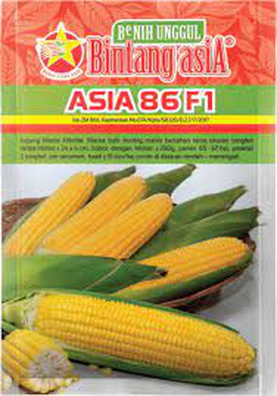 BENIH JAGUNG MANIS ASIA 86 F1 - 250 Gram