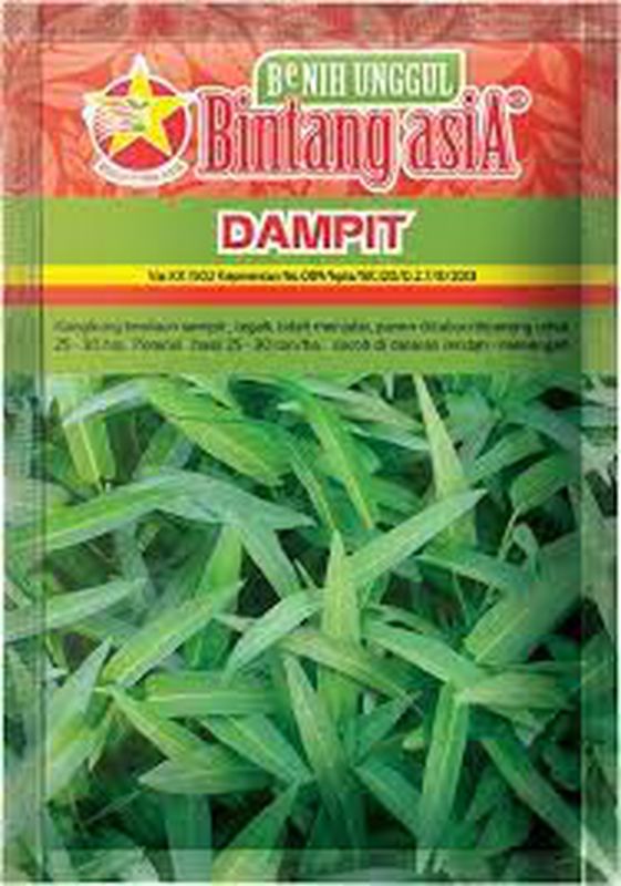 BENIH KANGKUNG DAMPIT - 500 Gram