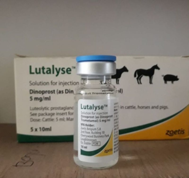 Lutalyse 10ml
