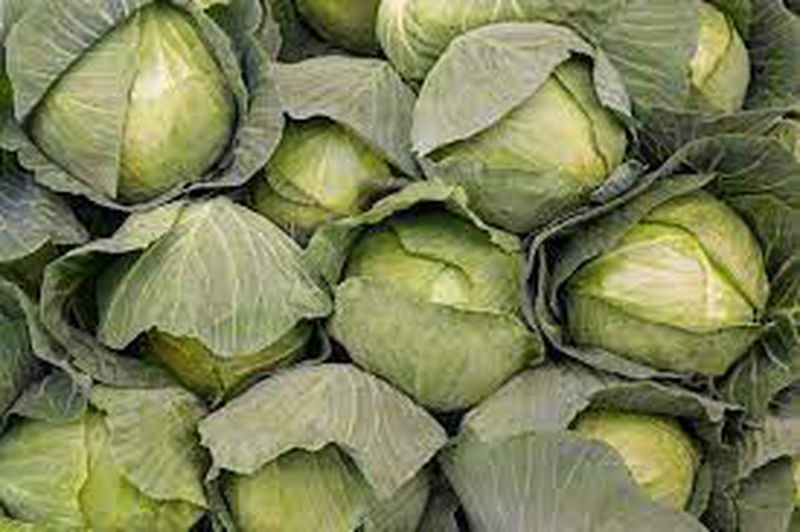 Sayur Kol