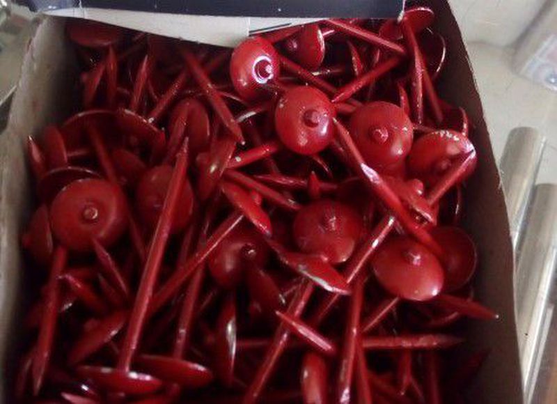 PAKU SENG WARNA MERAH