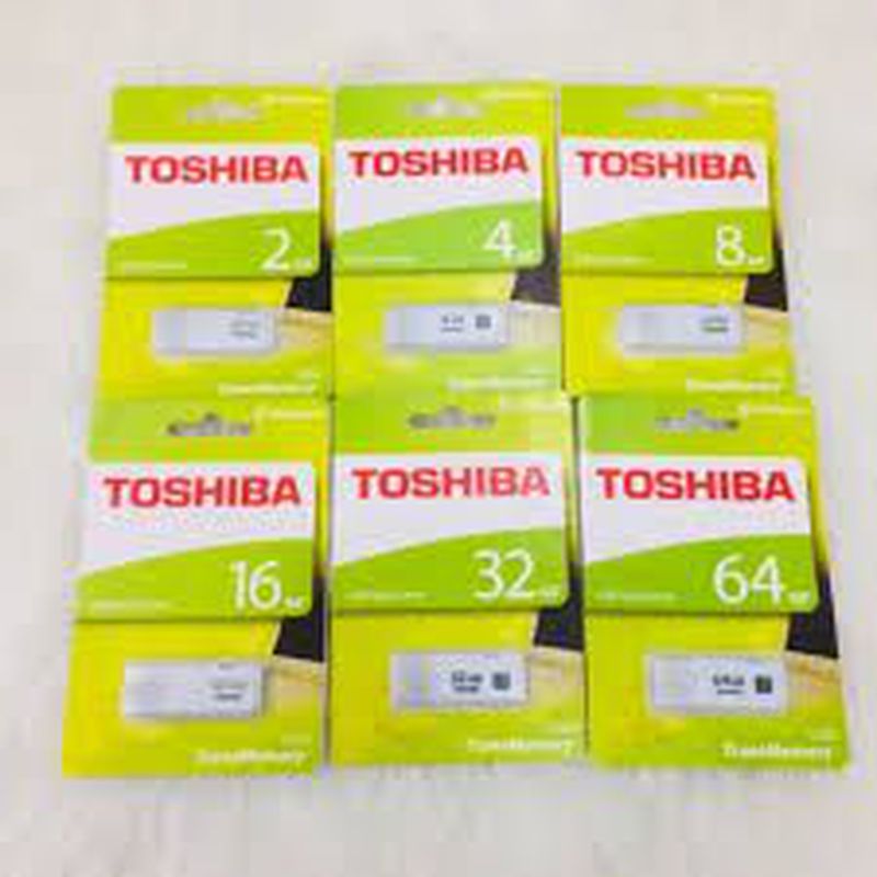 USB/Flash Disk