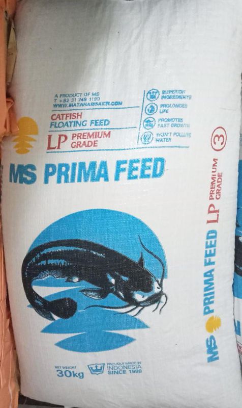 Pakan Induk lele