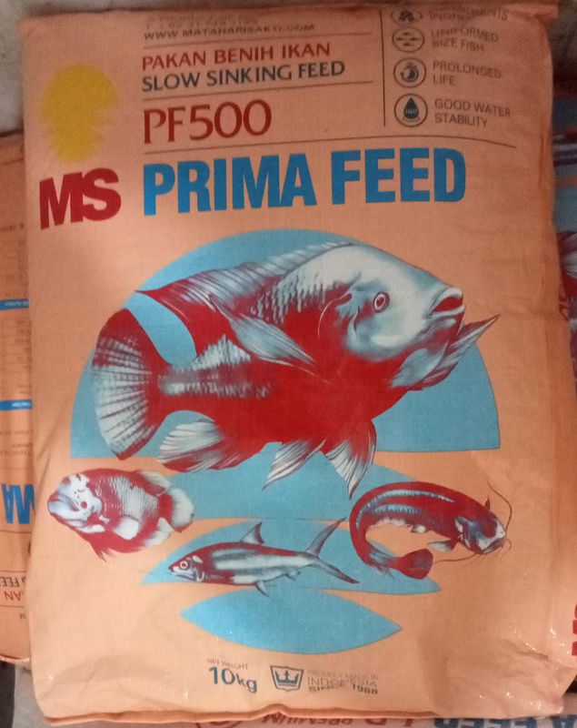 Pakan Benih Lele ms prima feed pf 500
