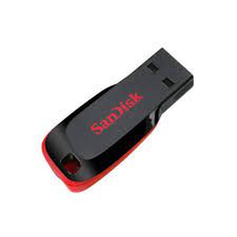 Flash Disk 8 GB