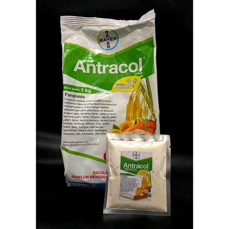 Antracol