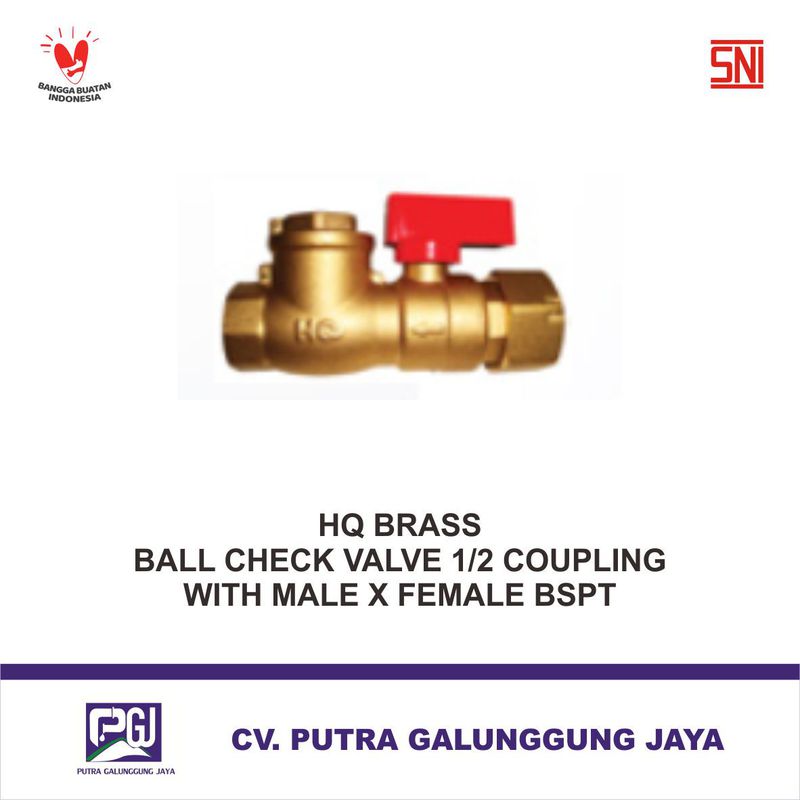 Brass Valve _ Ball Check 1/2 Coupling WM x Female BSPT - 1/2 Inch