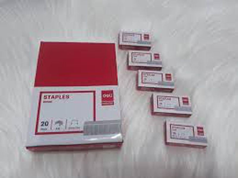 Staples No. 10 isi 20 dos