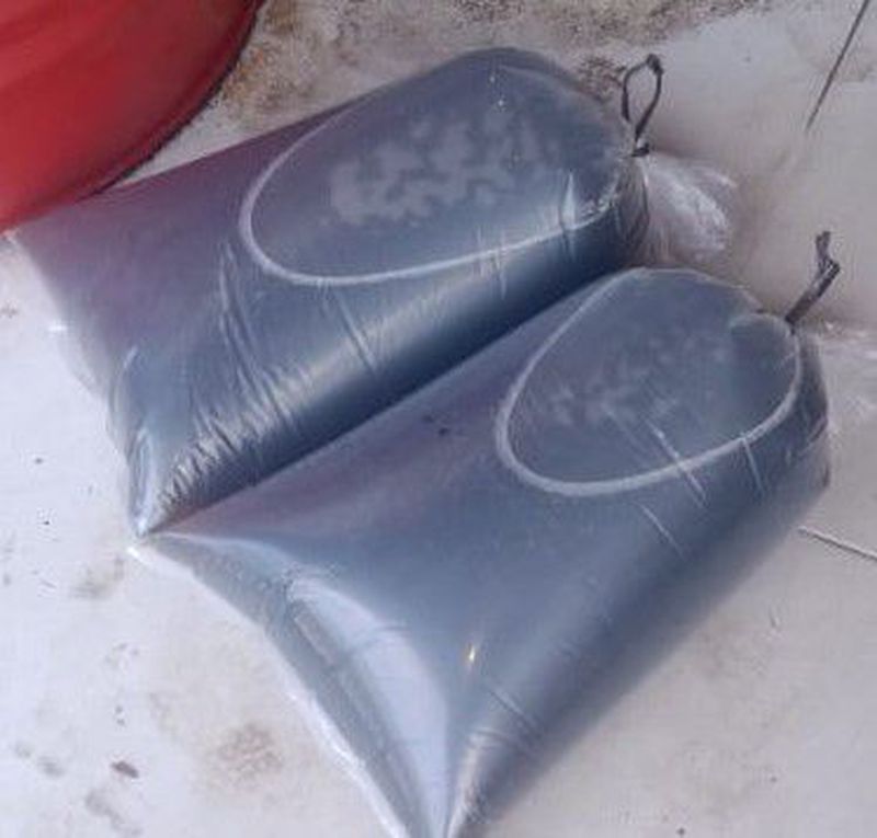 Oli hidrolik literan