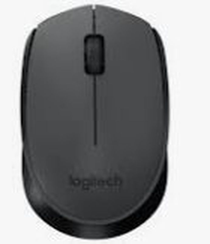 Logitech Mouse Wireless M170