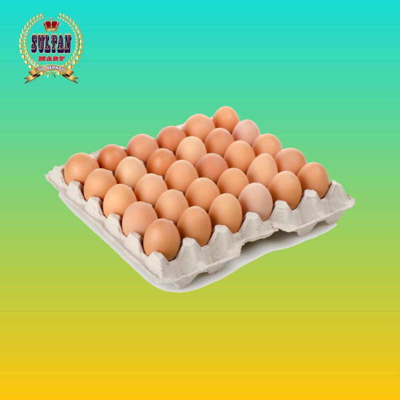 TELUR 1 KG + SERVICE BAZAR