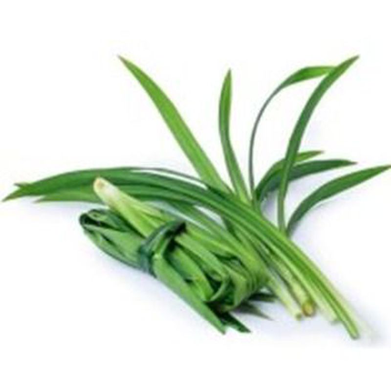 Daun Pandan